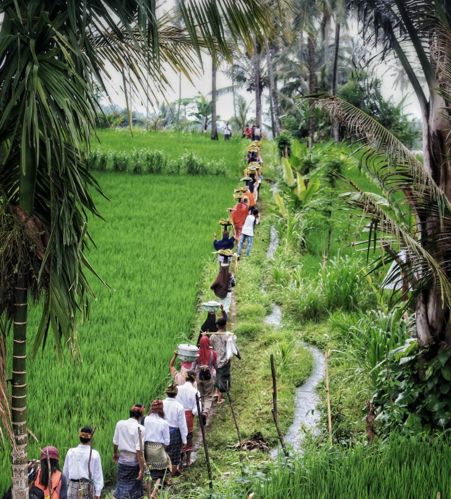 Festival Bebubus Batu Desa Sapit Lombok Timur | infolombok